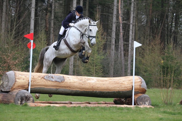 The Equestrian Architect - Your partner for horse stables and ...